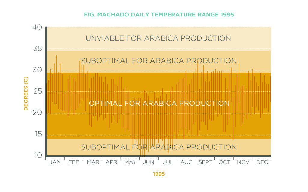 REPORT – New data reveals the impact of climate on Arabica production ...