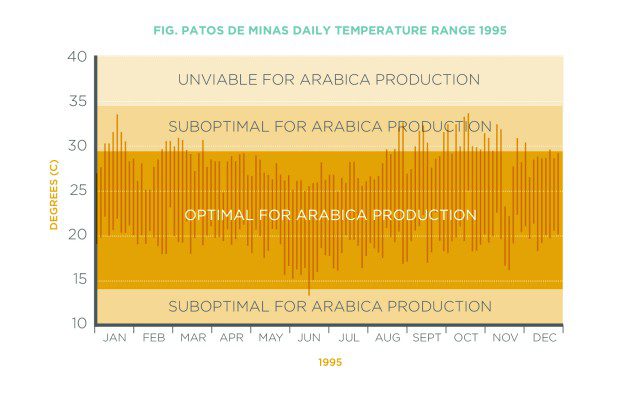 REPORT – New data reveals the impact of climate on Arabica production ...
