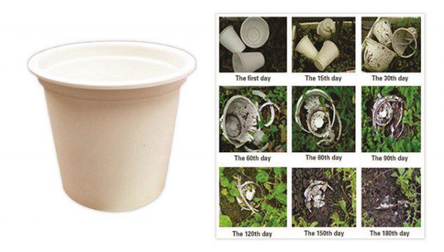 BioCups: the answer to “Kill the K-Cup Movement” - Comunicaffe ...