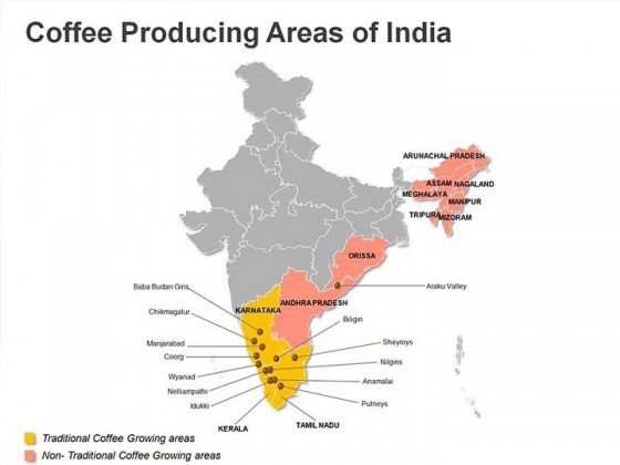 India's Arabica crop could rise by a fifth in 2015/16 - Comunicaffe ...