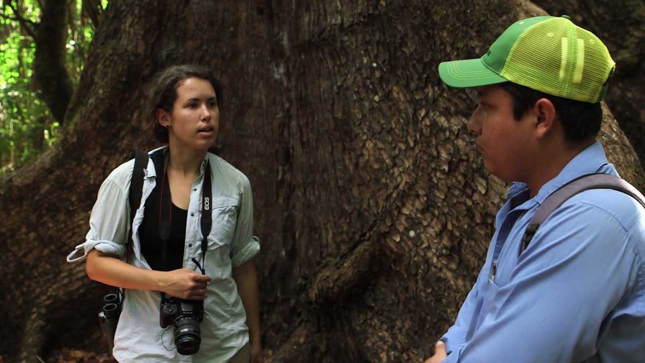 Hope in the heart of the Yucatán