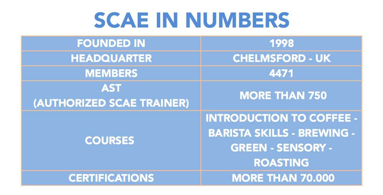 SCAE Europe celebrates its 18th anniversary - Comunicaffe International