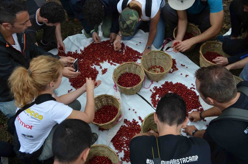 Double chance to take part to Umami Coffee Camp in Honduras ...