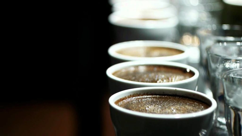 Coffee lexicon 2.0 features 24 additional global flavor standards