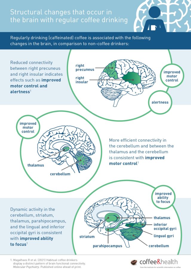 Study provides new insight on changes that coffee drinking has on brain