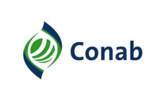 Conab pegs Brazil's 2025/26 coffee crop at 51.81 mln bags (-4.4%)