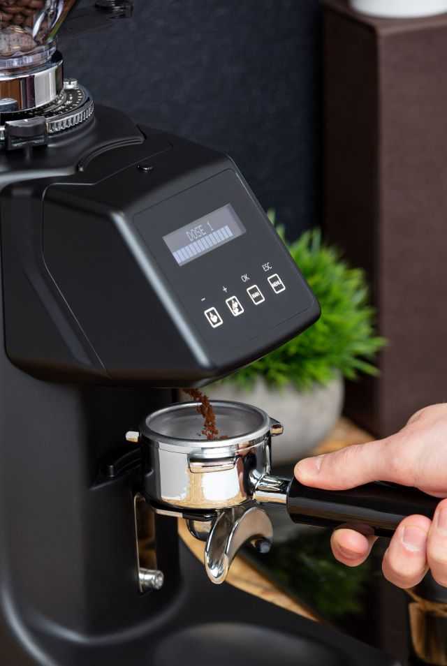 Quamar, from small company to big brand