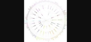 Canephora has its Flavour Wheel